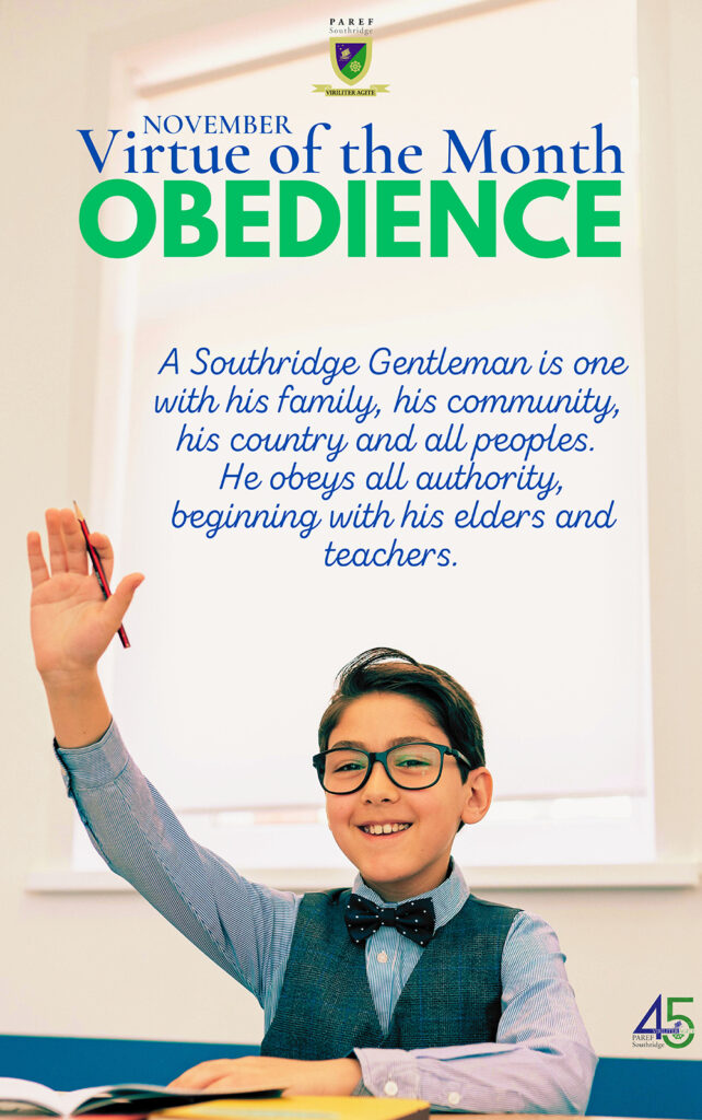 November 2024 Virtue - PAREF Southridge